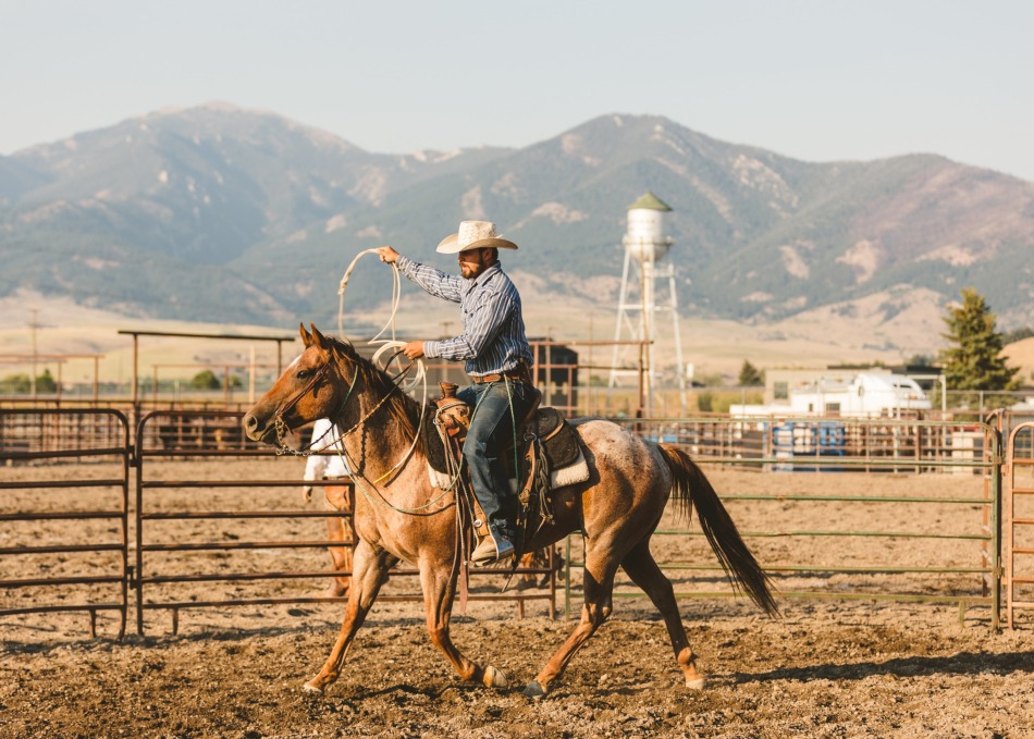 Gallatin County Fairgrounds | Big Sky State Fair | Home